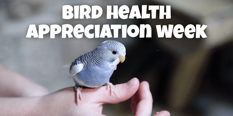 Bird Health Appreciation Week