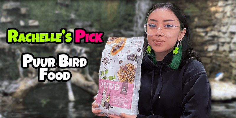 Rachelle's Pick - Puur Bird Food
