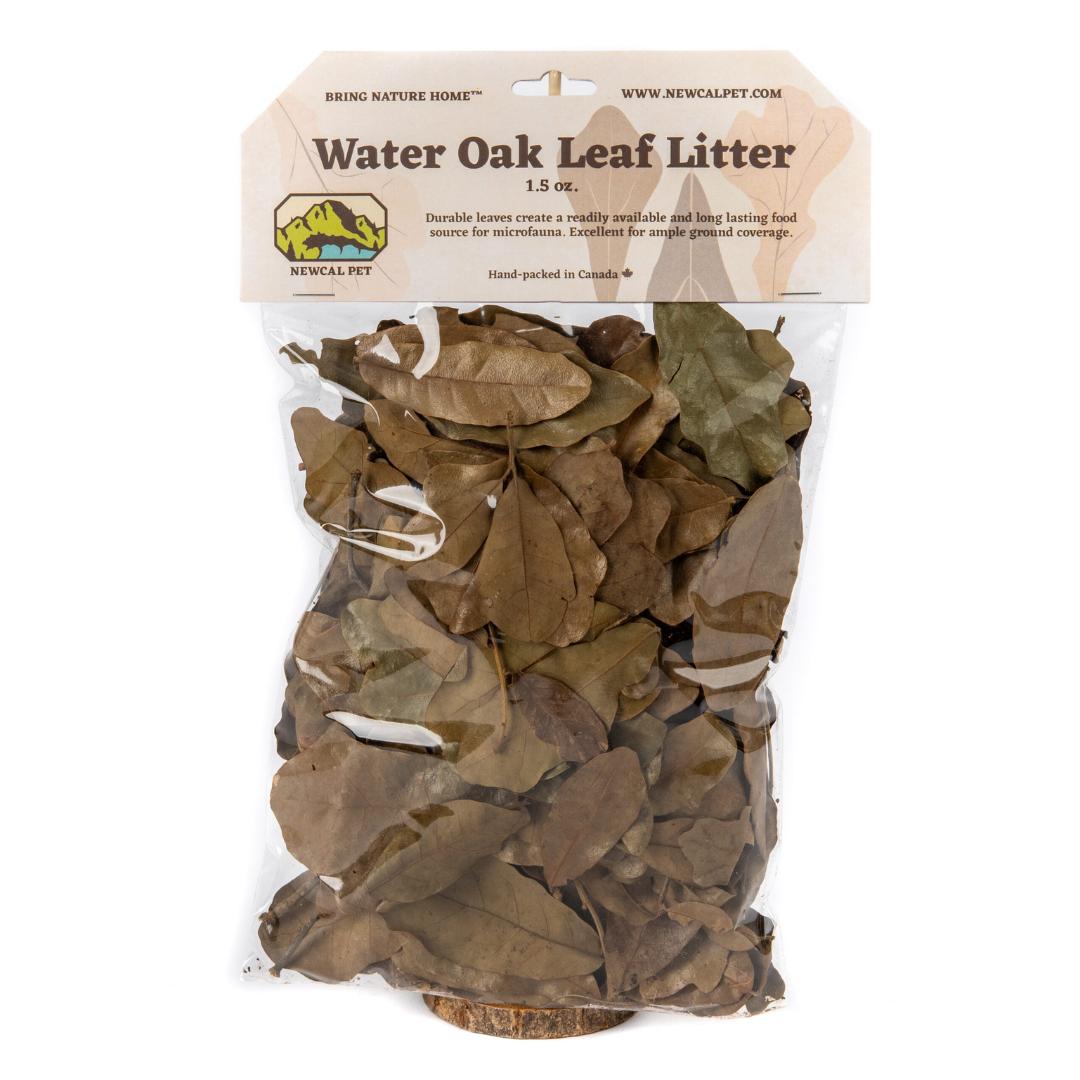 NewCal Pet Water Oak Leaf Litter 1.5oz