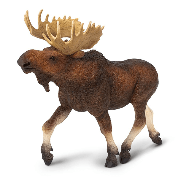 Safari Ltd. Moose
