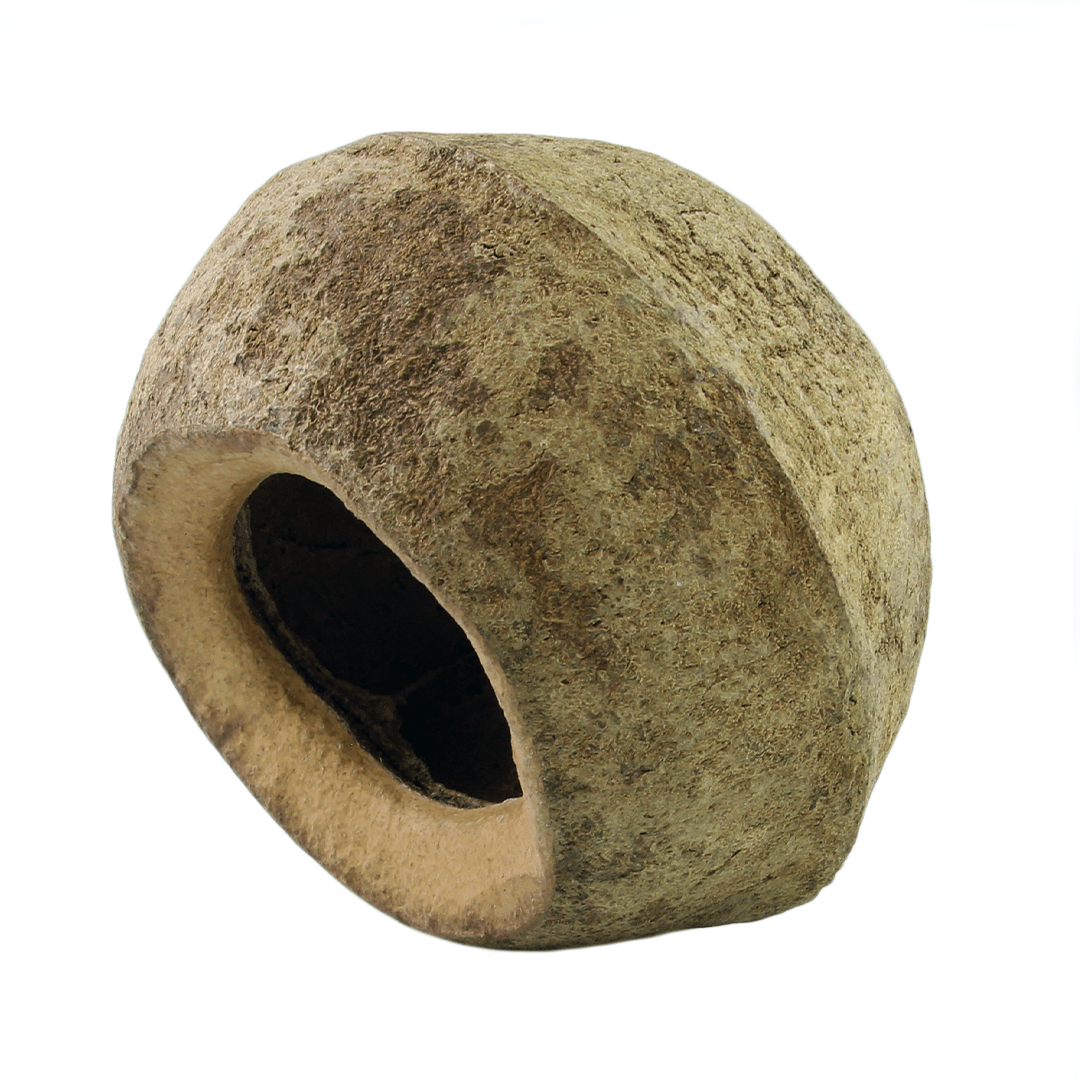 Jurassic Reptile Products - Sapucaia Pod